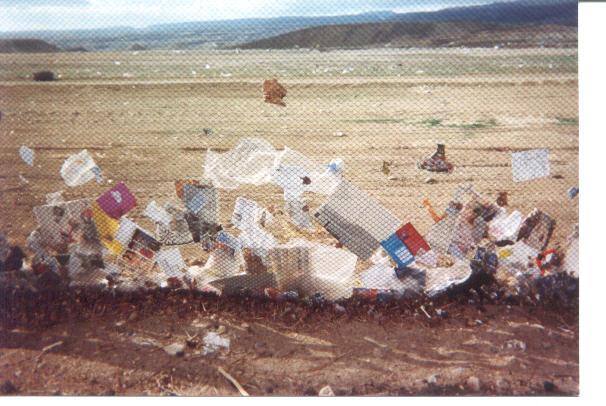 Everything You Need to Know About Landfill Netting | JudgeNetting