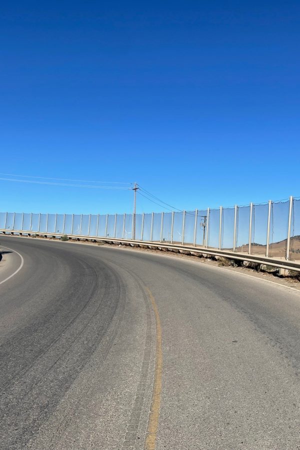 Projects - Judge Netting